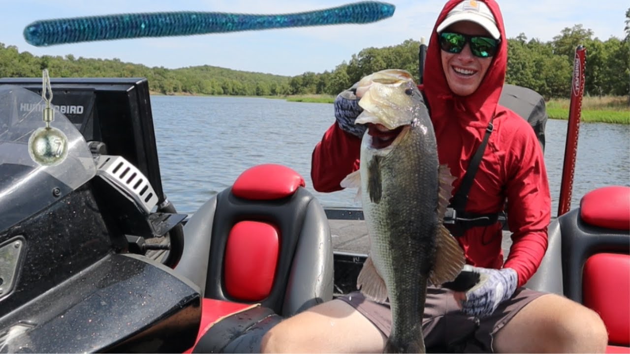 I CRUSHED Them! (Summer Drop Shot Bass Fishing) - YouTube