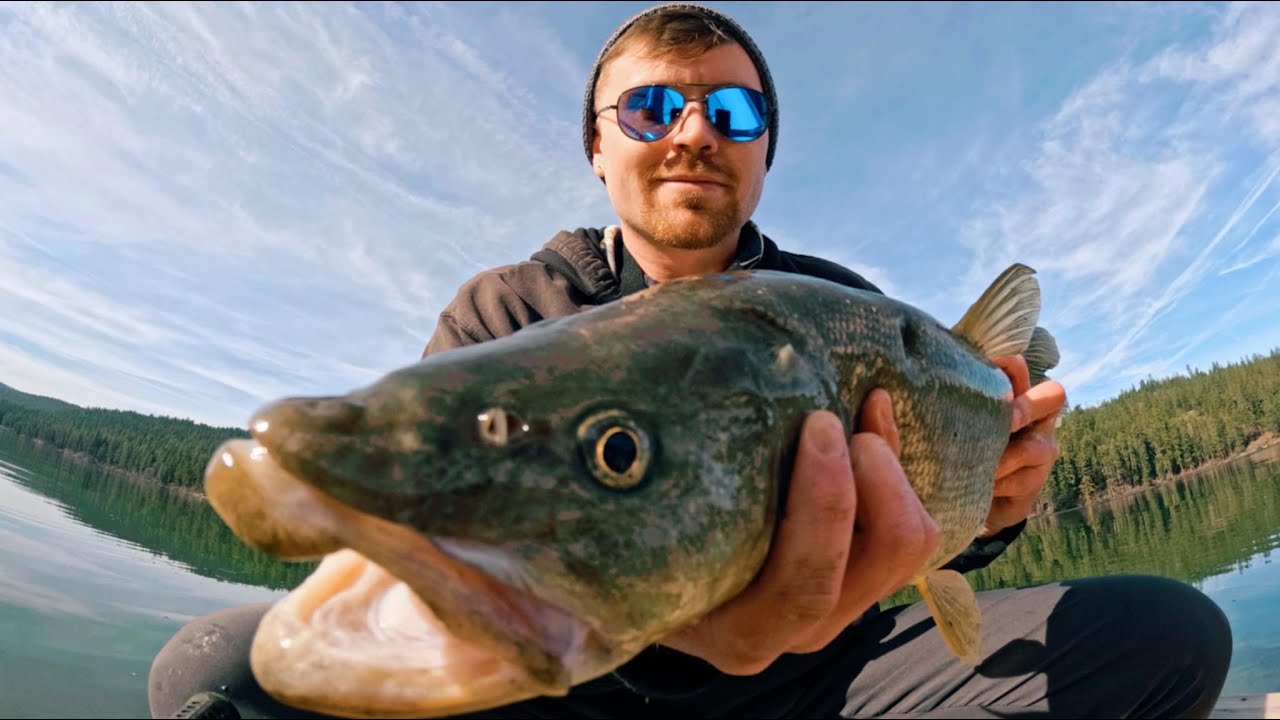 Caught the Biggest and Most Hated Invasive Fish! (Pikeminnow) - YouTube