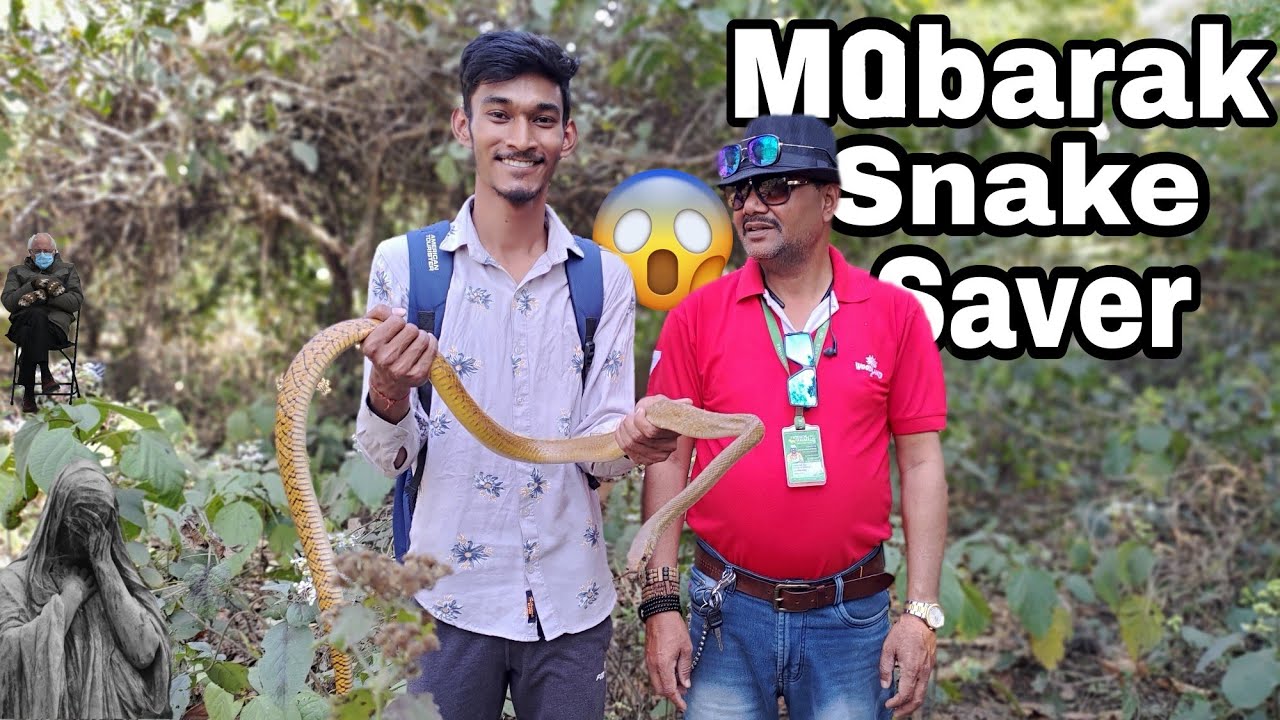 कुछ समय Mobarak snake🐍 saver के साथ | 1st time touching 😱 Snake with ...