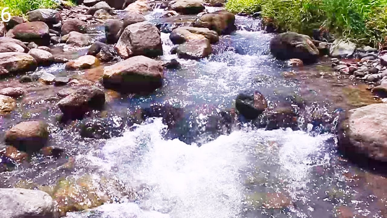 Calm Water Stream Sounds for Mind Relaxation, Meditation, Stress Relief ...