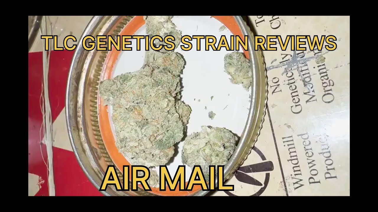 Air Mail (Strain Review) : The TLC Genetic Show - YouTube