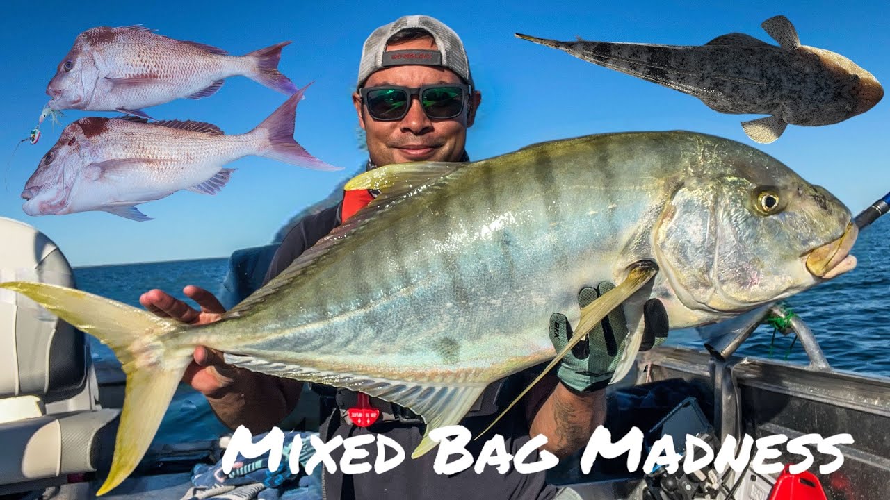 Solo mixed bag madness @ Nanga Bay, Shark bay - YouTube
