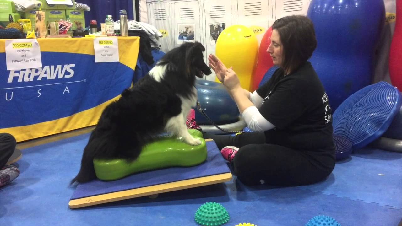 The FitPAWS Fitbone and Rocker Board - YouTube