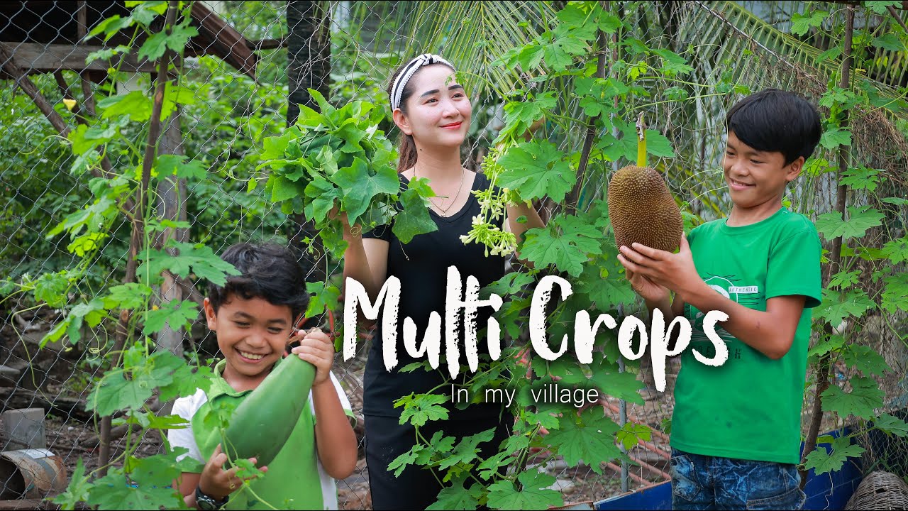 Multi crops collecting for special cook | Bitter gourd growing | Fresh ...