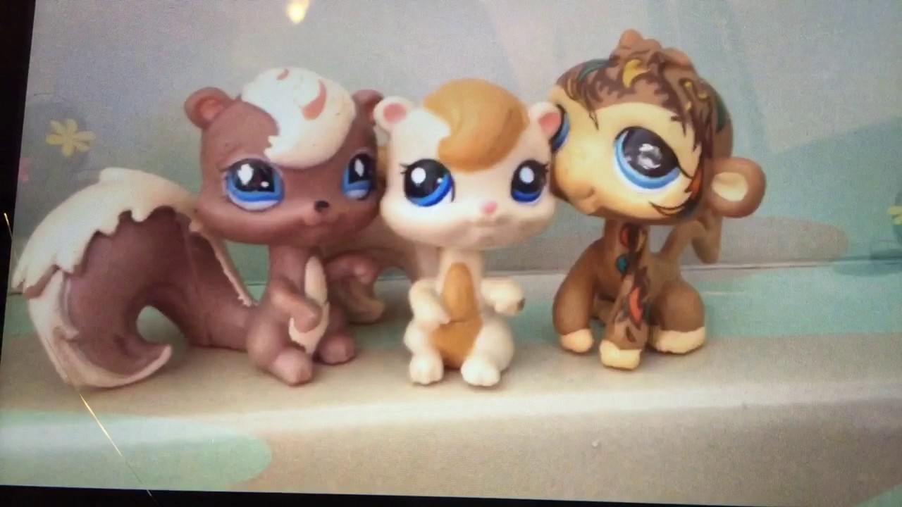 New series!!!! 😱 Trailer of An LPS Summer!! - YouTube