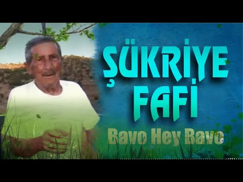 Şikriye Fafi - Bavo Hey Bavo