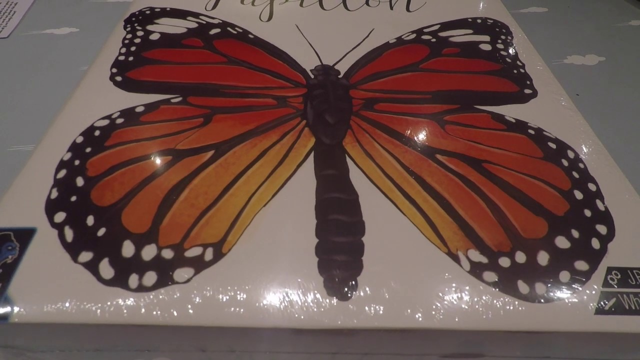 Unboxing papillon boardgame - YouTube