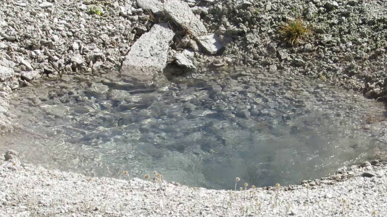 Percolating Spring in Yellowstone - YouTube