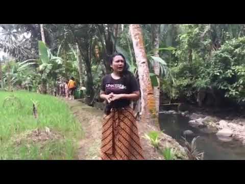 Wisata Buluh Awar - YouTube