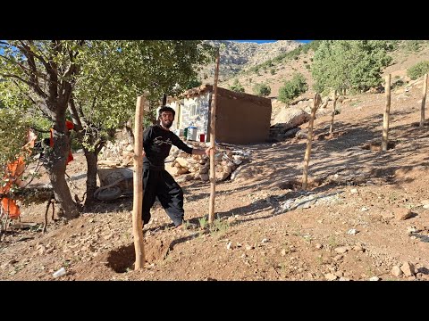 Ali builds the magical cottage yard with her amazing skills