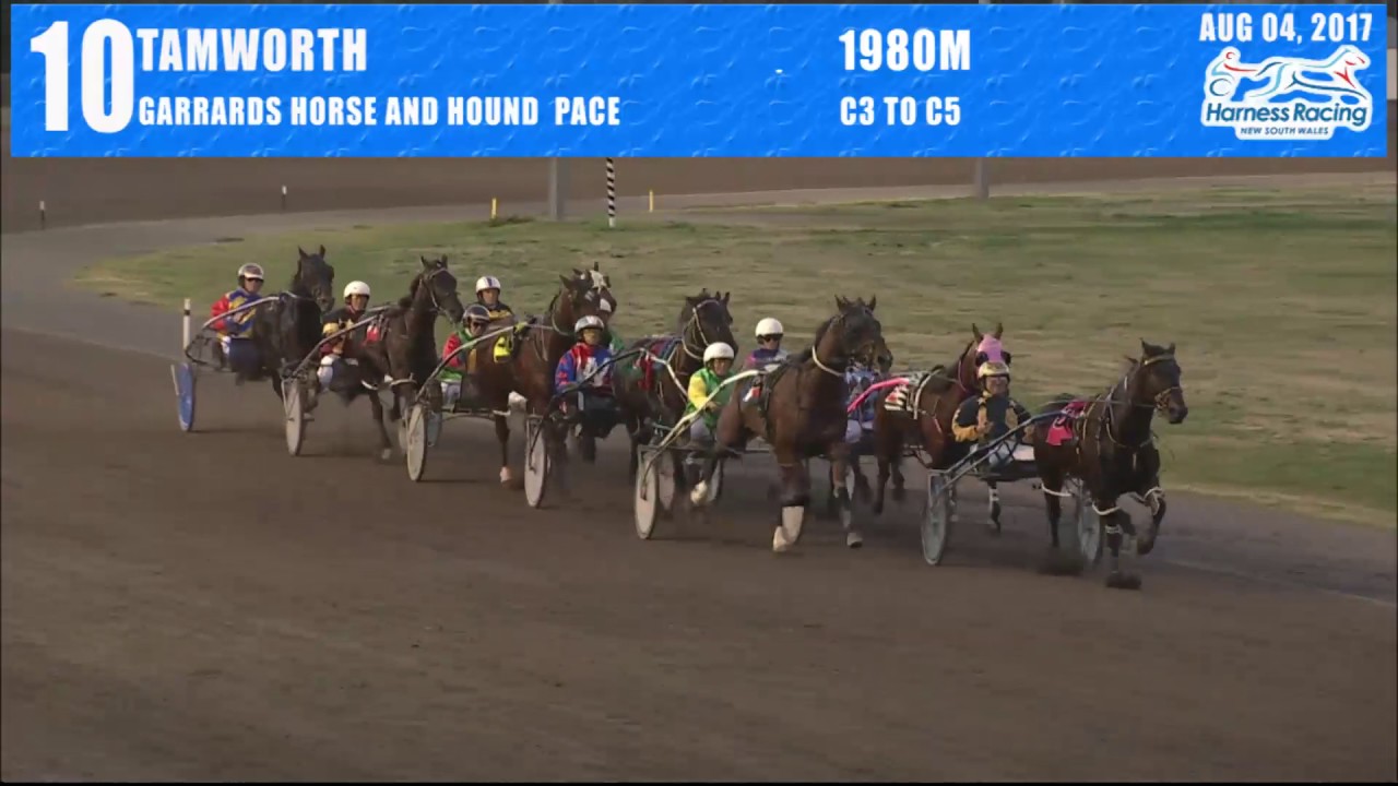 TAMWORTH - 04/08/2017 - Race 10 - GARRARDS HORSE AND HOUND PACE - YouTube
