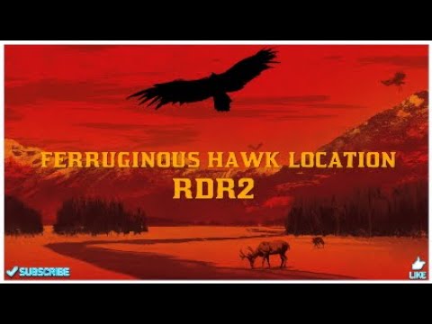 Ferruginous hawk location RDR2 - YouTube