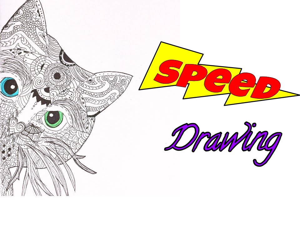 Zentangle Cat Speed-Drawing - YouTube