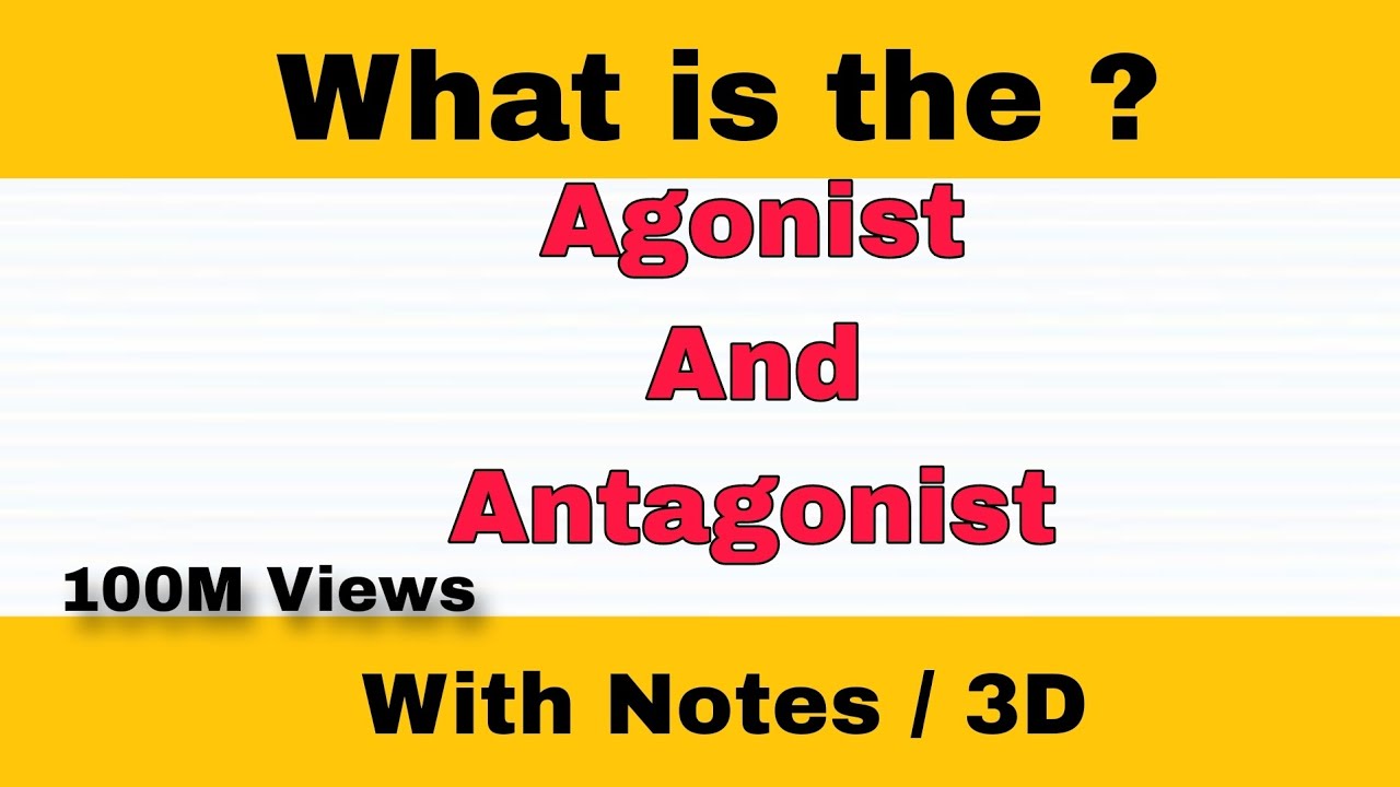 Difference Between Agonist And Antagonist | 3D Animation | #viral # ...