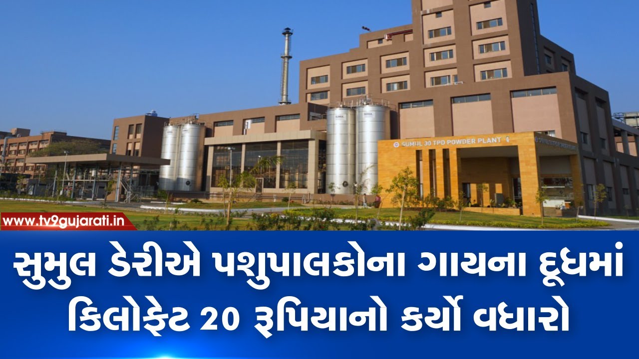 Surat: Sumul dairy increases cow milk procurement prices by Rs.20/ kg ...