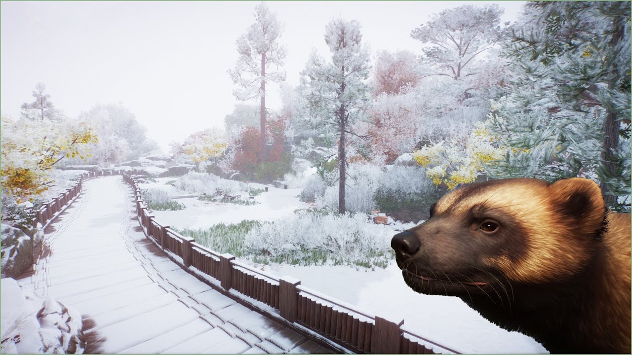 🇳🇴Norwegian forest wolverine habitat | Quaco Zoo | Planet Zoo ...