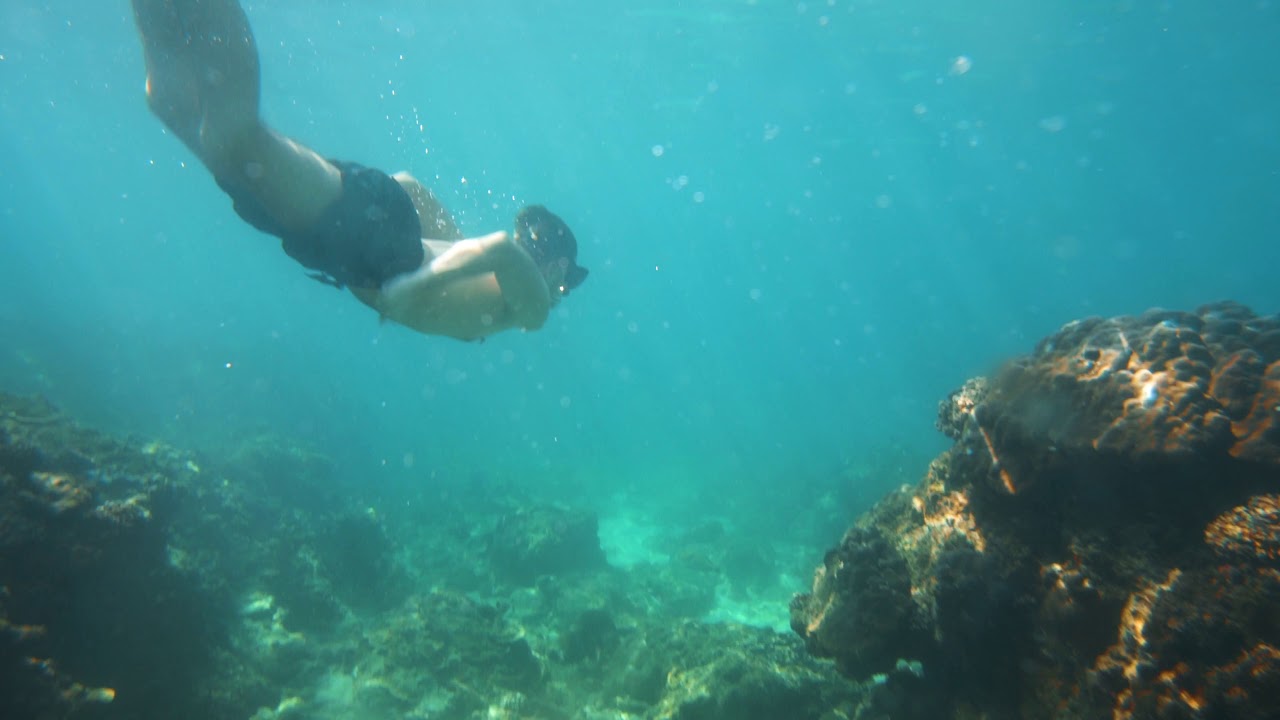 Diving - YouTube