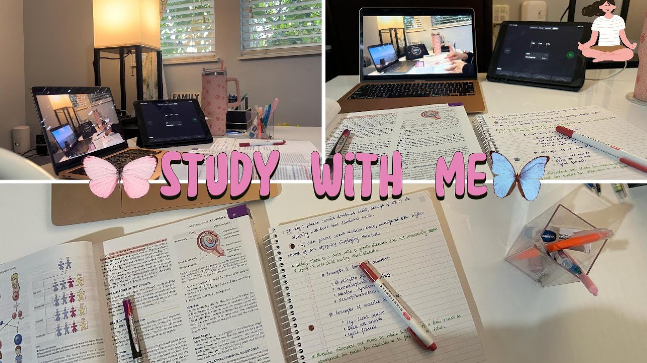 🦋1-Hour study with me | calm study music |ch.16|sunny day|productive study session ...