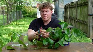 a plant taught me how to be a friend