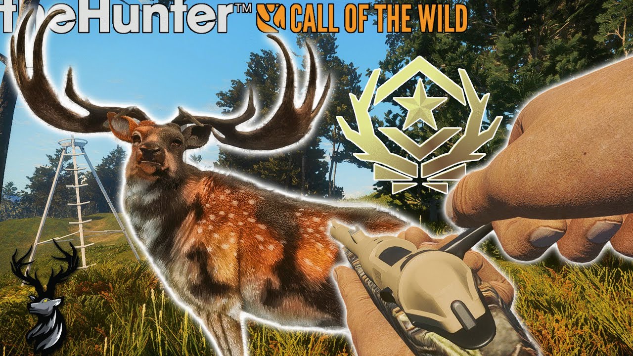 Hunting the Fabled Painted Great One Fallow Deer on Te Awaroa with the ...