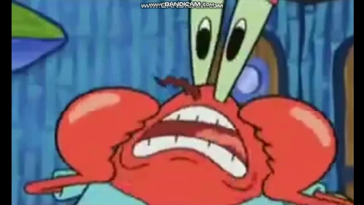 pan krab też nie lubi chomików z media expert - YouTube