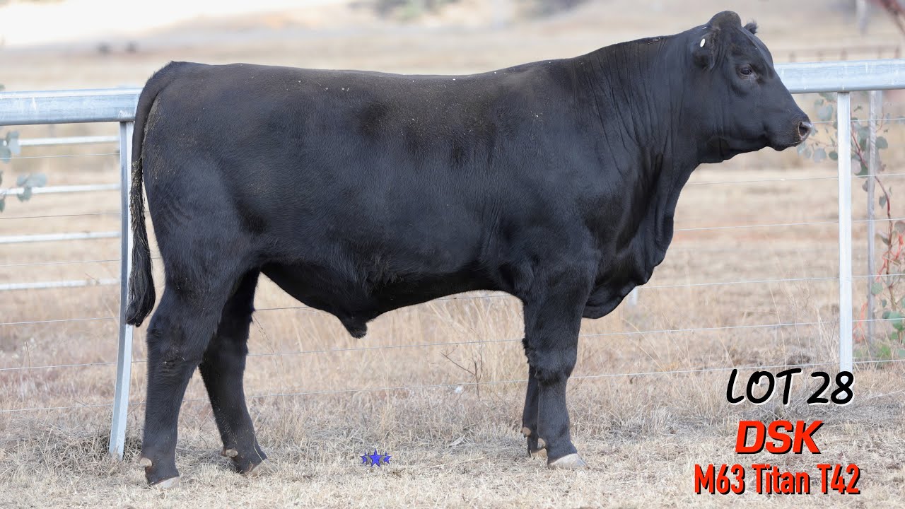 Lot 28 DSK M63 Titan T42 - YouTube