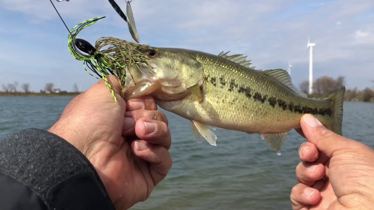 Spring bass fishing | Breaking down a new pond with 2 hours to fish | # ...