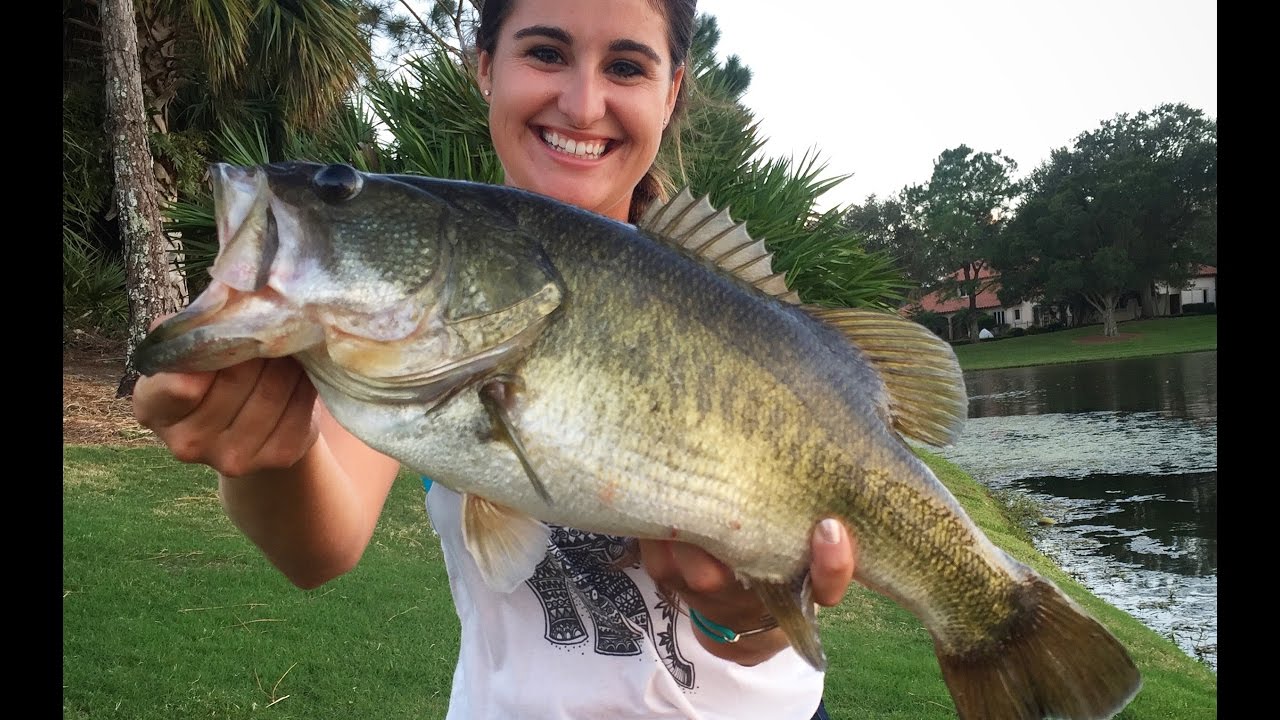 Girlfriend Catching Monster Bass on Senkos! - YouTube