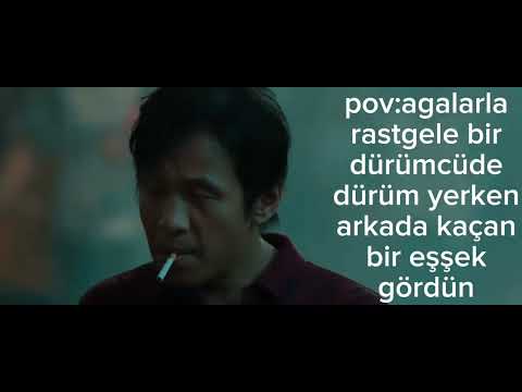 Pov:agalarla rastgele bir dürümcüde dürüm yerken arkada kaçan bir eşşek gördün