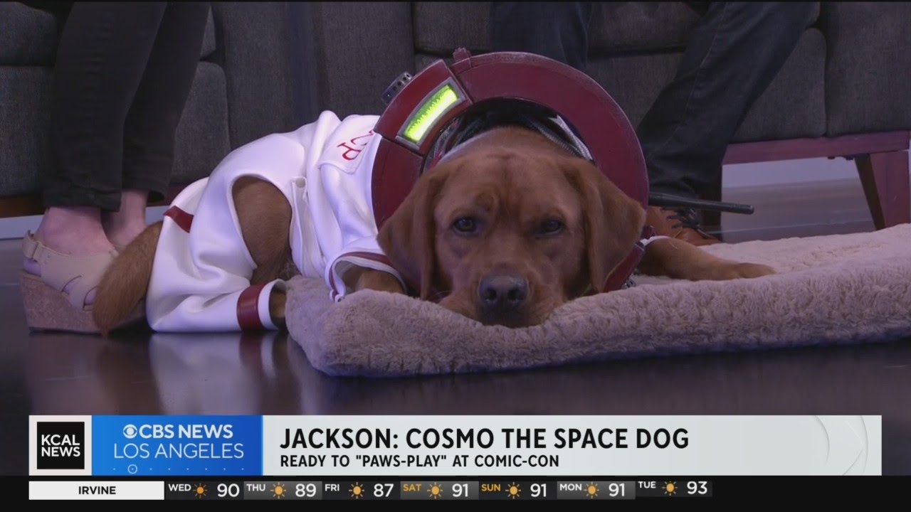 Meet Jackson: Cosmo the Space Dog - YouTube