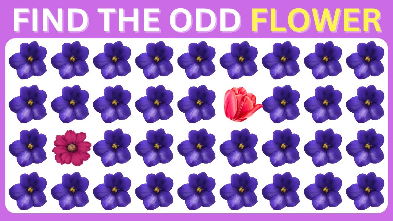 Find The ODD One Out - Flower Edition | 30 Easy / Medium / Hard Levels ...