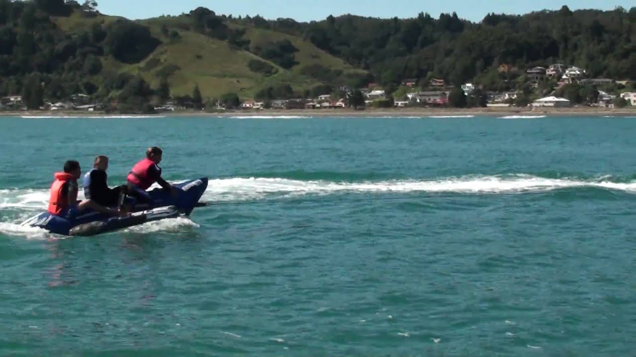 Moko The Dolphin was Entertained all day at Ohope West End - YouTube