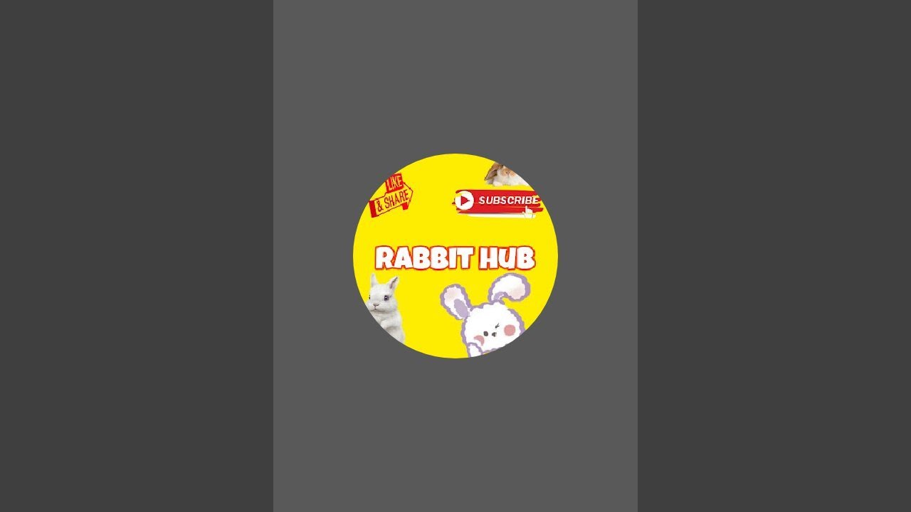 Rabbit hub is live! - YouTube