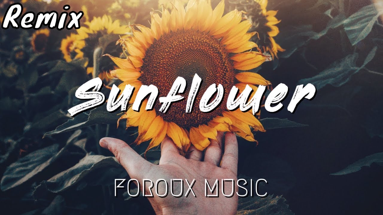 Post Malone, Swae Lee - Sunflower (itsbirb Remix) - YouTube