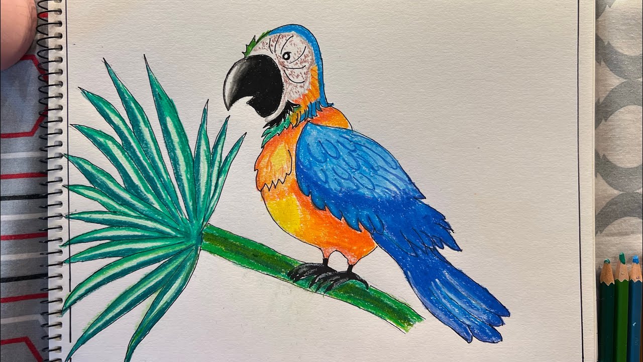 |Drow a beautiful bird| How to Draw a Beautiful Bird | - YouTube