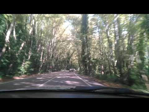 Mercedes 190 E ile bartın yolu #bartın #mercedes