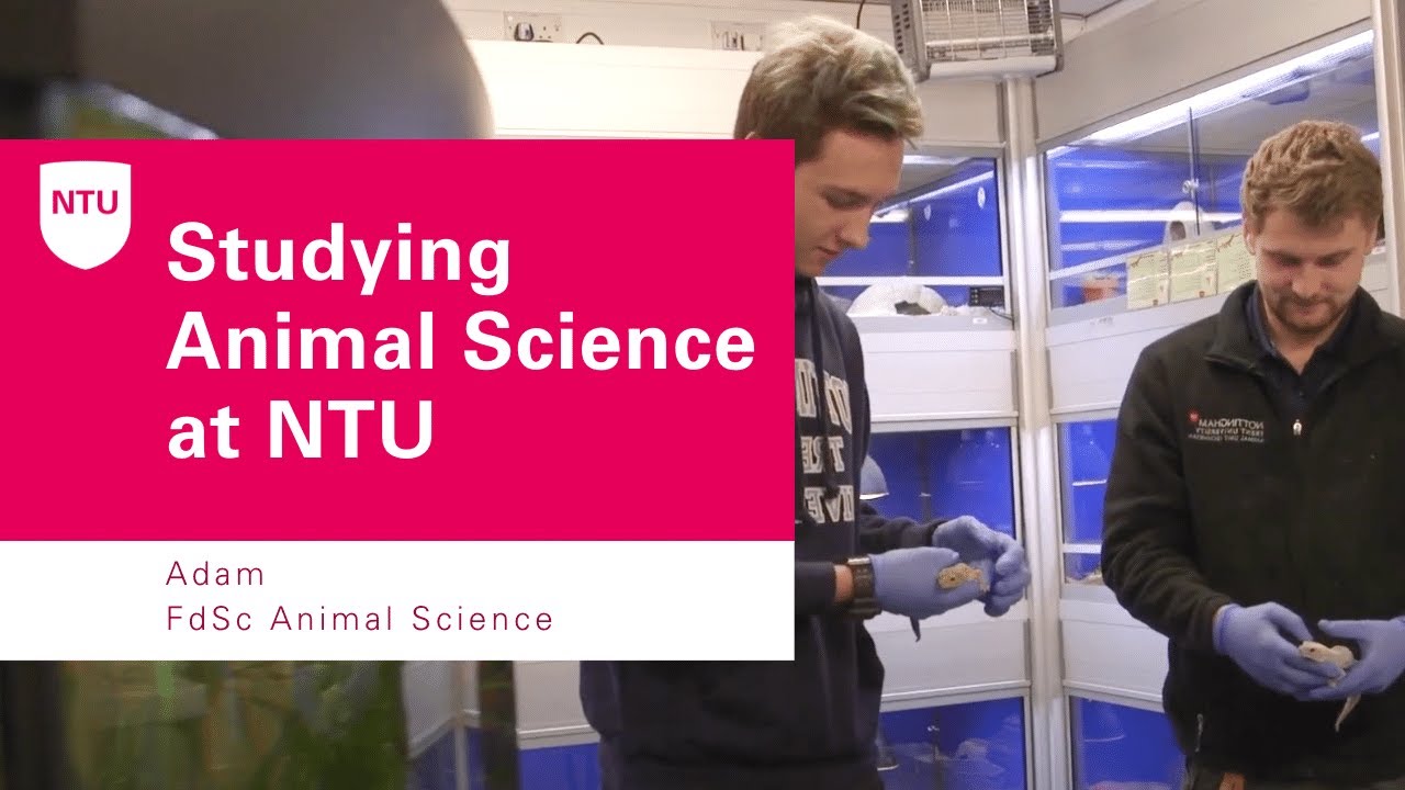 Adam tells us what it's like to study FdSc Animal Science at NTU - YouTube