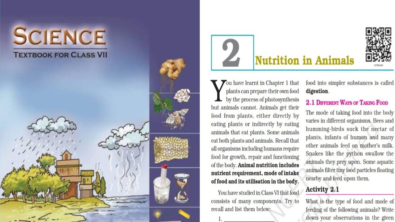 chapter 2 Nutrition in Animals - YouTube