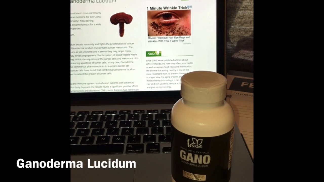 GANO (Ganoderma Lucidum) TLC | TOTAL LIFE CHANGES - YouTube