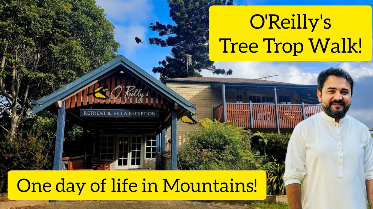 One day of life in O'Reilly's Mountains ⛰️ / Tree Trop Walk/ Lamingtion ...