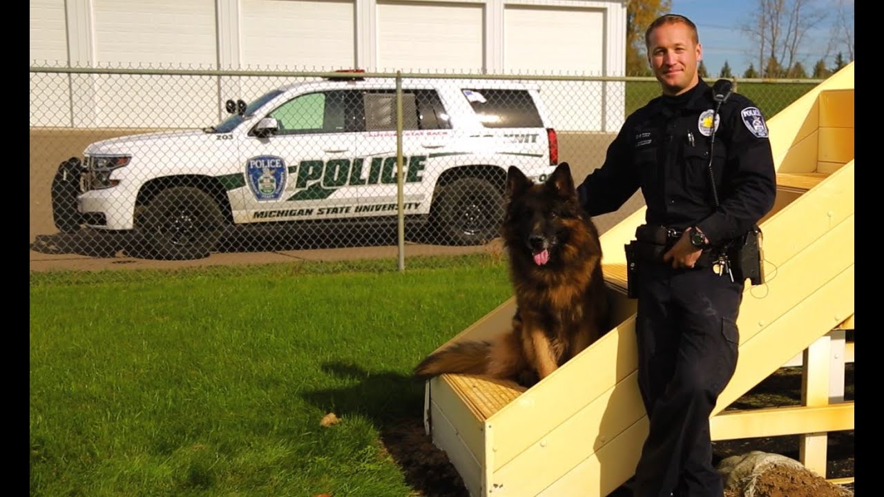MSU Police K9 Unit - YouTube