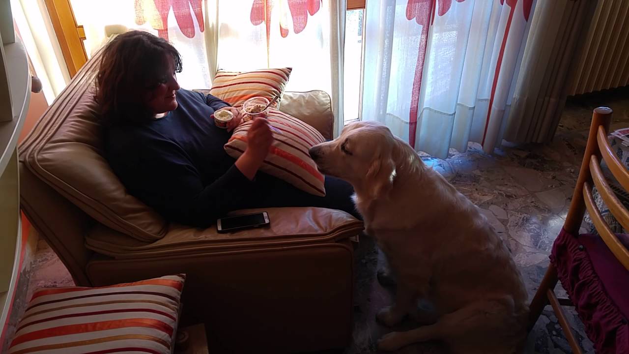 Julie che mangia il gelato - 19 aprile 2016 - YouTube