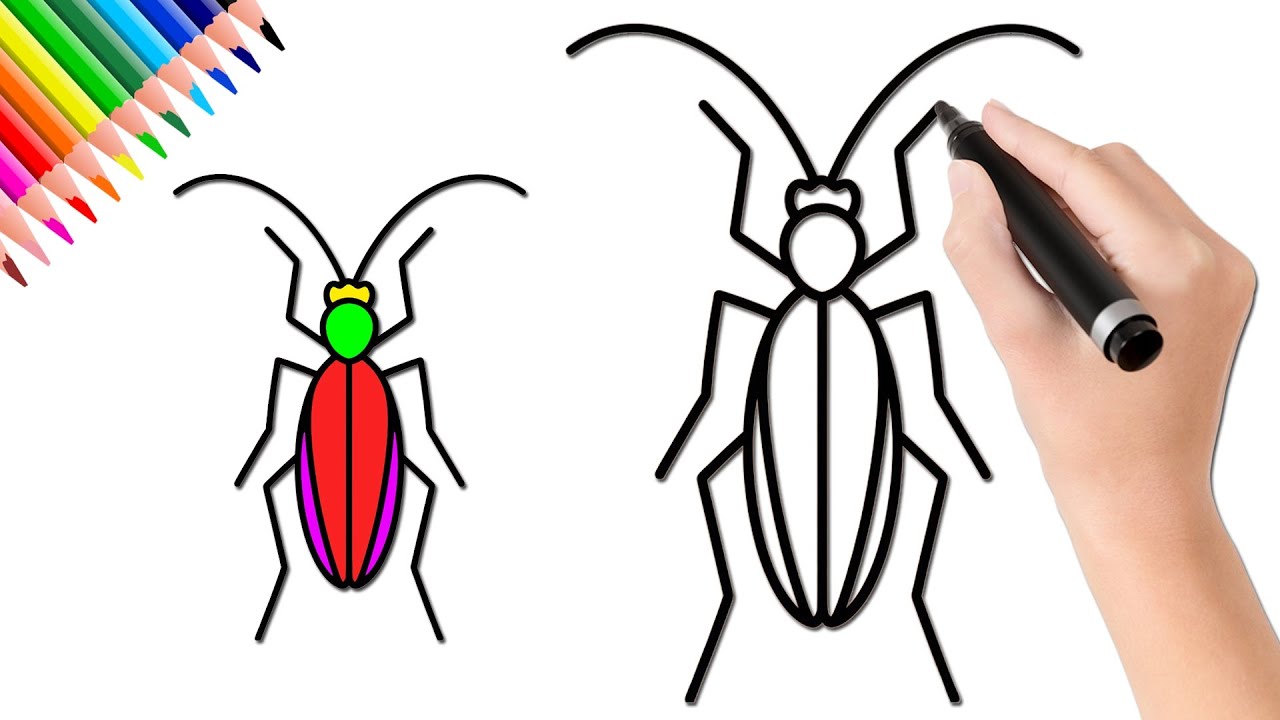 How to Draw colourful cockroach Step by Step | Gg drawing academy - YouTube