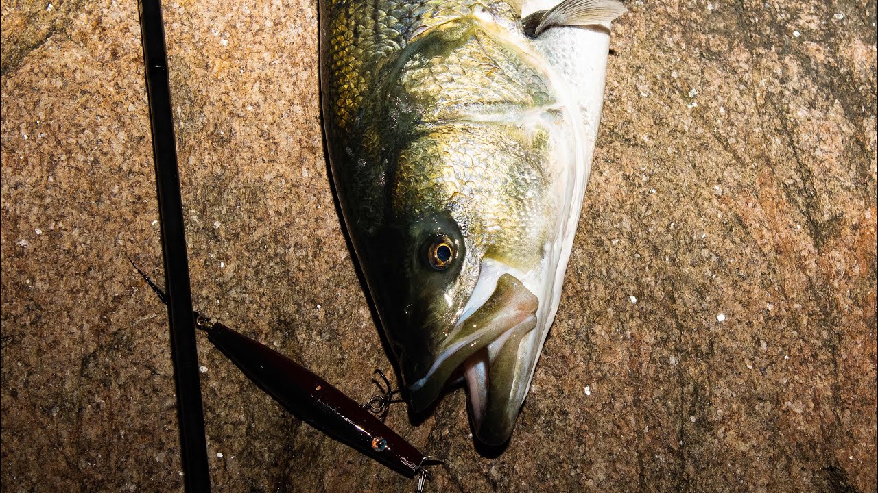 How To Fish Metal Lip Swimmers - YouTube