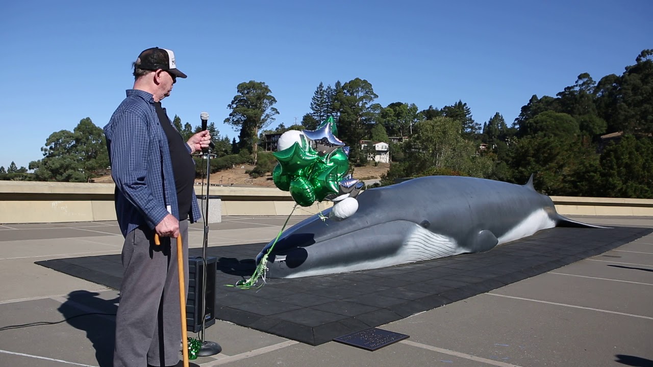 Artist Larry Foster talking about Pheena the Fin Whale, at Lawrence ...