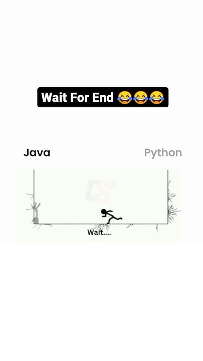 Java Vs Python 🤣 Java Python Codinglover Coder Codinglife Funny Youtube