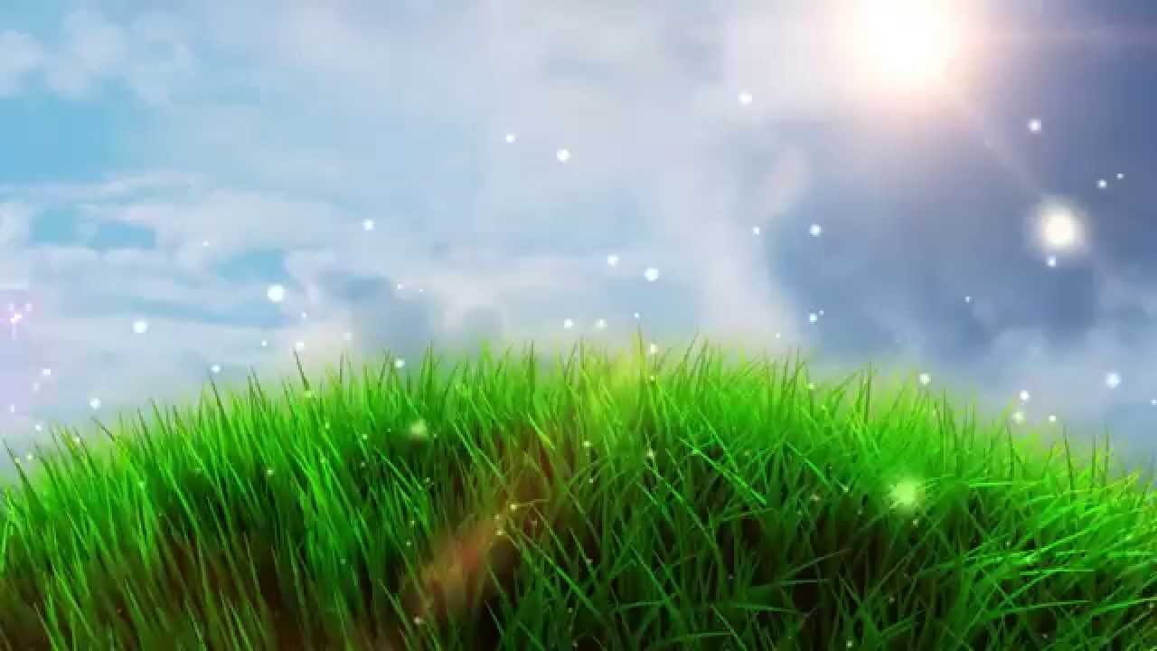 SHARI HALL - Because of You (Official Lyric Video) - YouTube