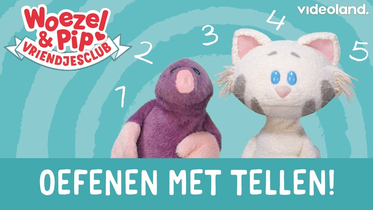 Woezel & Pip Vriendjesclub - Molletje en Buurpoes oefenen met tellen 🦔🐝 ...