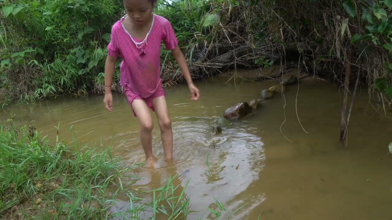 Orphan Girl Goes To The Forest Harvest Fish and Snails To Sell ...