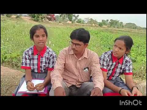 Agriculture field work project in kv school students ashu and her ...
